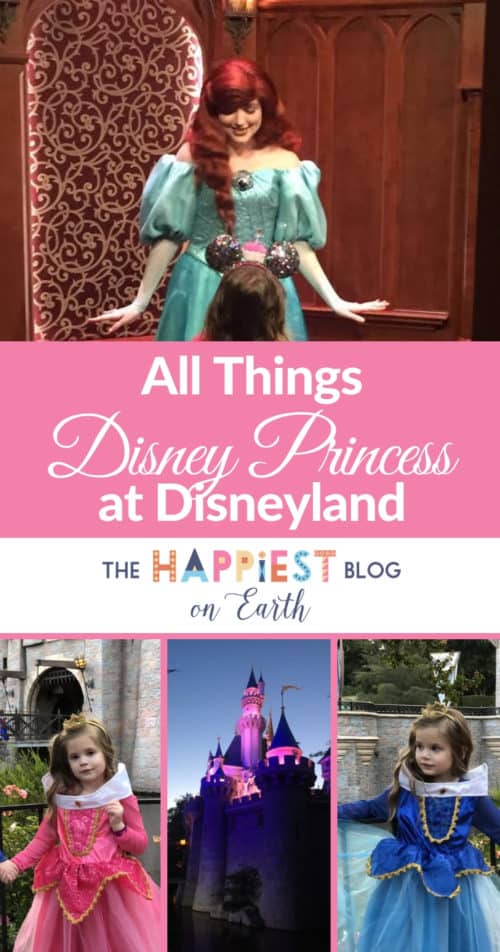 Meet Disneyland Princesses | The Happiest Blog on Earth