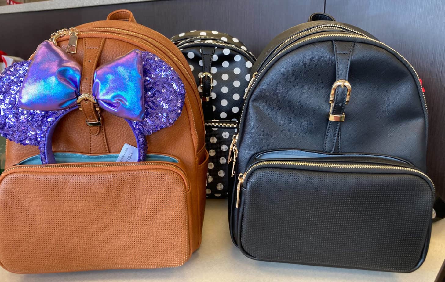 Top 20 Disneyland Bag Must Haves