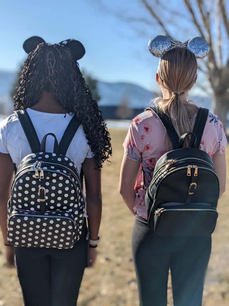 Top 20 Disneyland Bag Must Haves