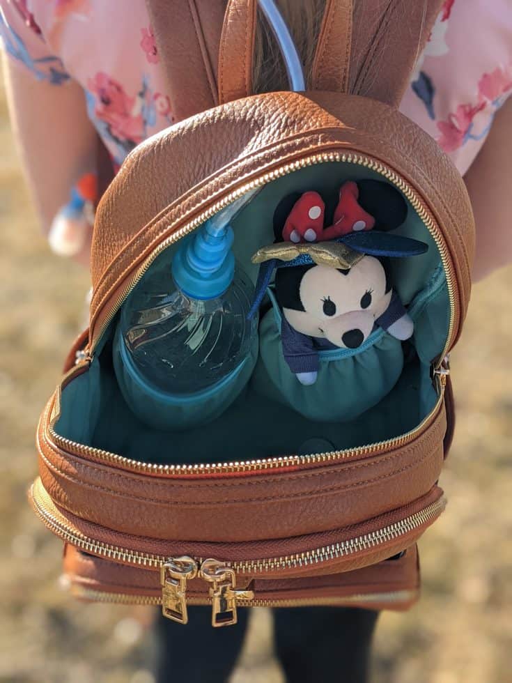Top 20 Disneyland Bag Must Haves