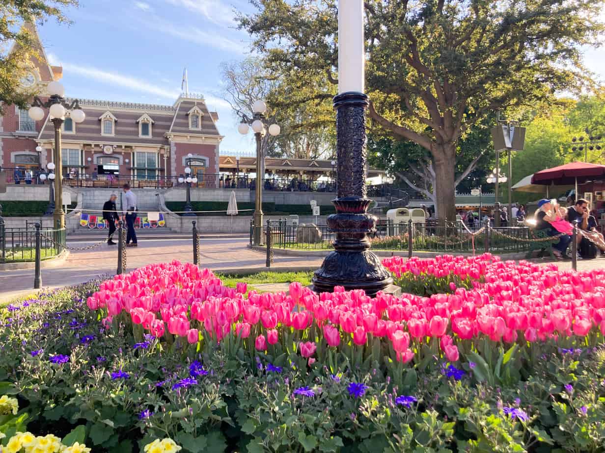 Easter at Disneyland | The Happiest Blog on Earth