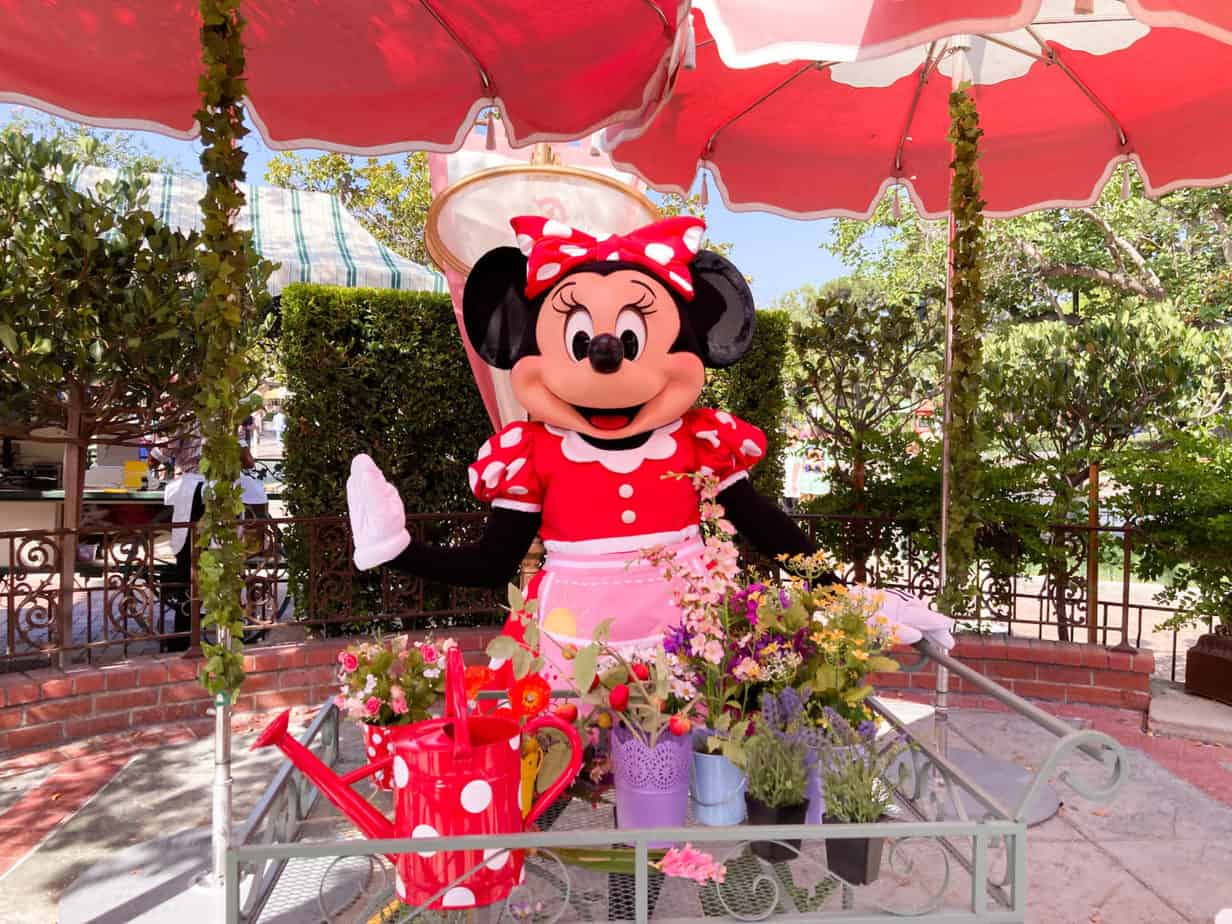 Plaza Inn Breakfast with Minnie & Friends