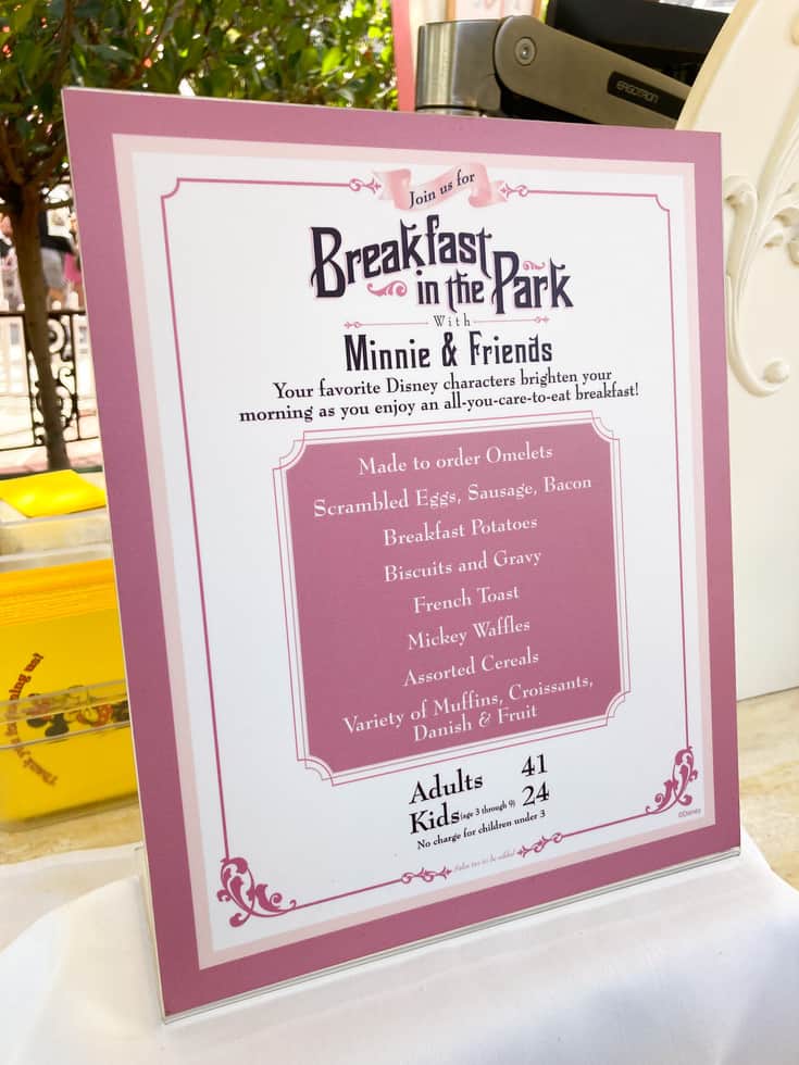 Minnie & Friends Character Dining | The Happiest Blog on Earth