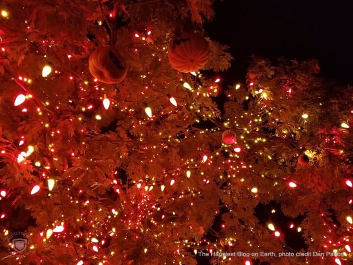 Disneyland Halloween Time 2024 Updates
