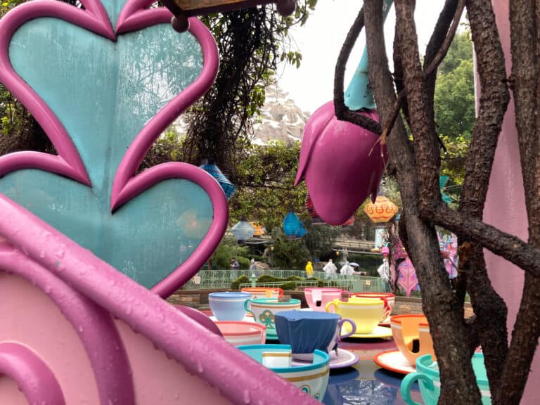 What Happens on Rainy Days at Disneyland