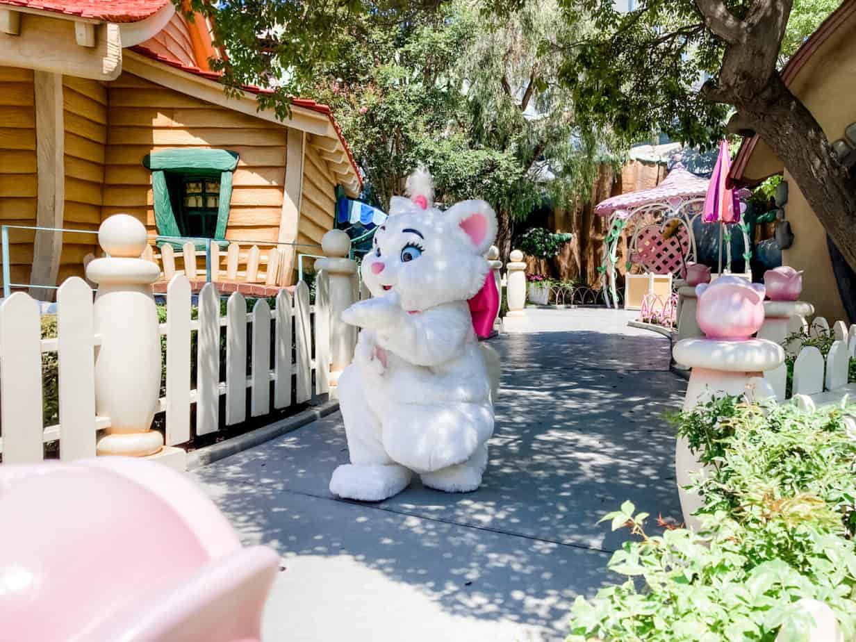 Disneyland Stroller Guide: Rentals vs Bring Your Own