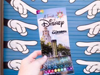 A Touch of Disney 2021 | The Happiest Blog on Earth