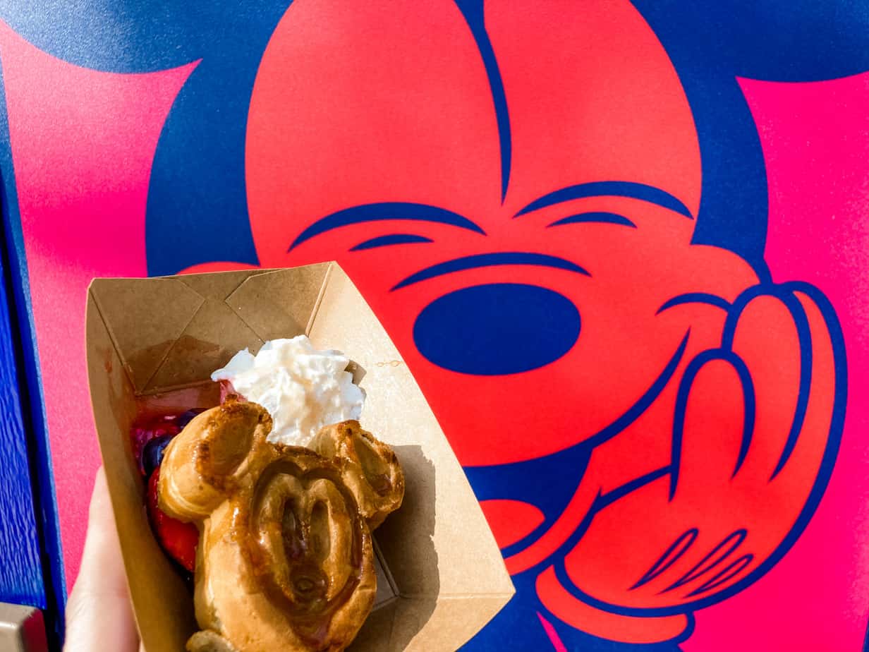 A Touch of Disney 2021 - The Happiest Blog on Earth