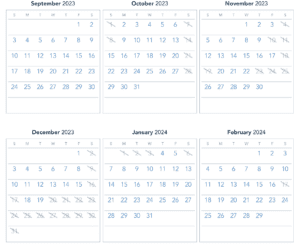 Disneyland Magic Key Calendars