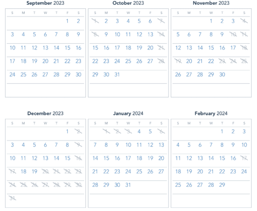 Disneyland Magic Key Calendars