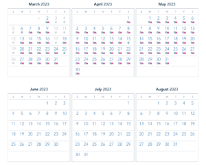 Disneyland Magic Key Calendars