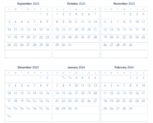 Disneyland Magic Key Calendars