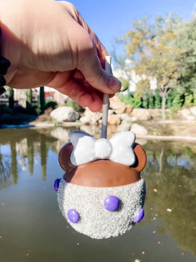 Best Food to Mobile Order at Disneyland | Quick Bites Guide