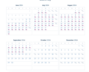 Disneyland Magic Key Calendars