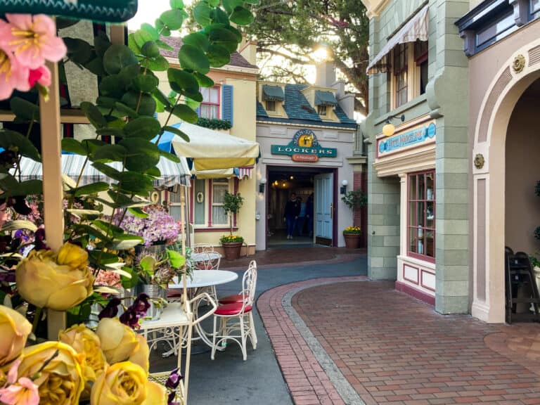 Disneyland Lockers: Quick Info to Stash Your Stuff