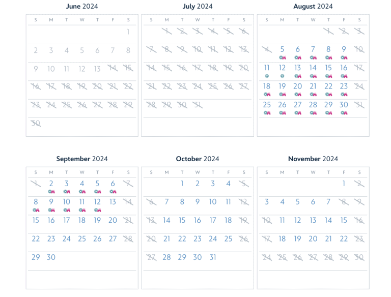Disneyland Magic Key Calendars