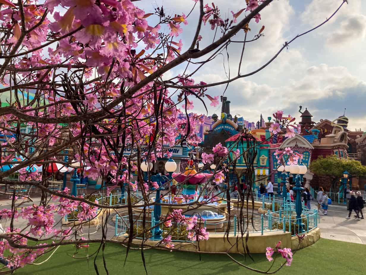 Disneyland in March 2026: Crowds, Weather, Events