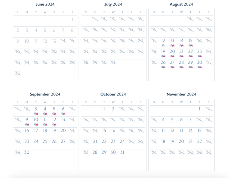 Disneyland Magic Key Calendars