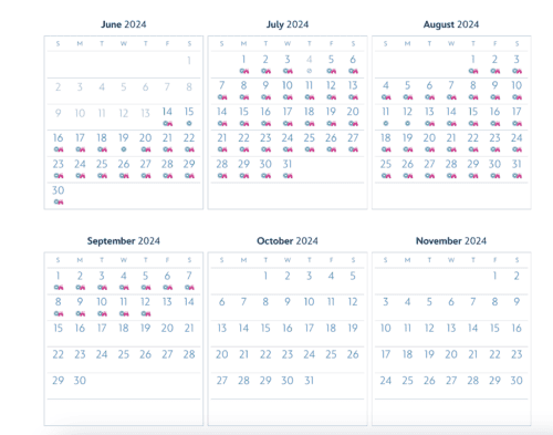 Disneyland Magic Key Calendars