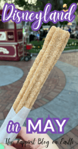 All the Magic for Visiting Disneyland in May
