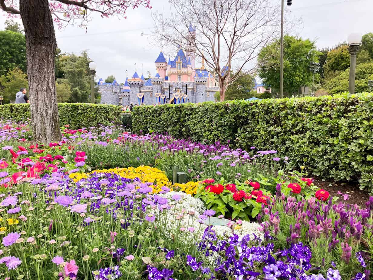 Disneyland in June: Crowds and Events Guide 2026