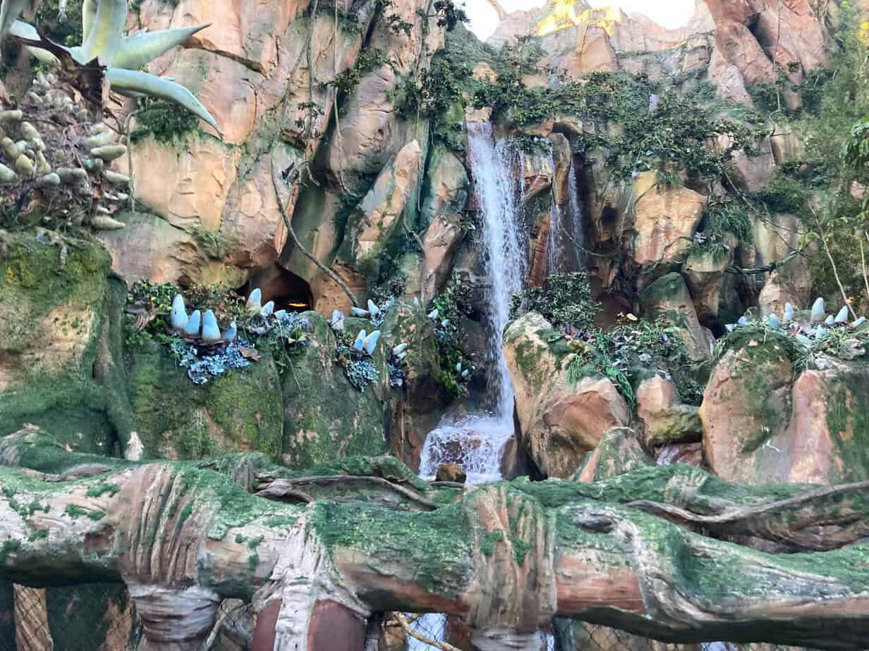 News! Disneyland's Avatar at California Adventure