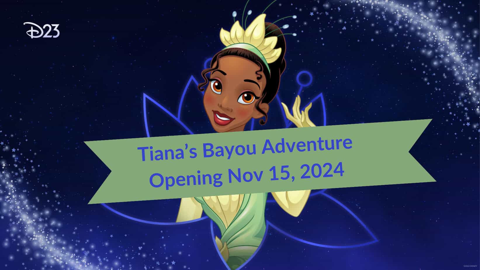 Disneyland Plan for Tiana's Bayou Adventure Ride