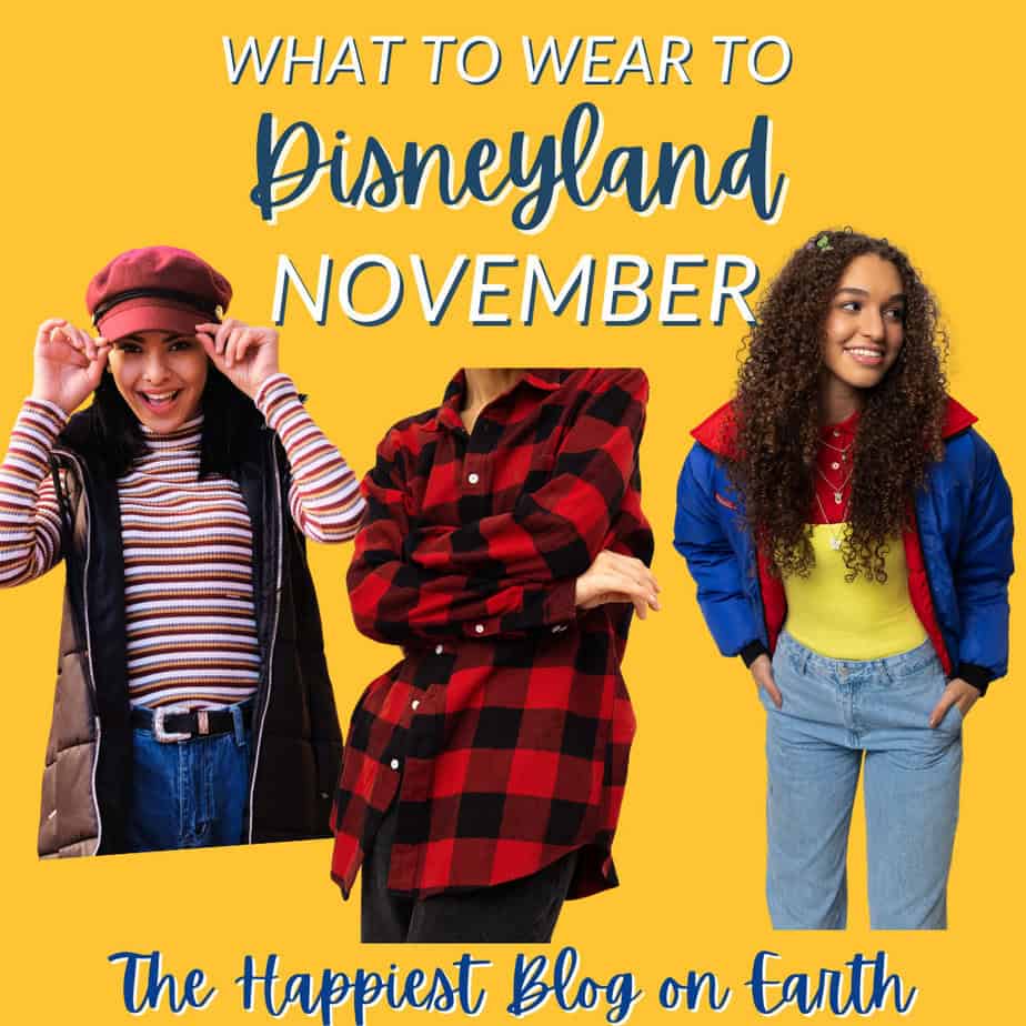 What's Happening at Disneyland in November