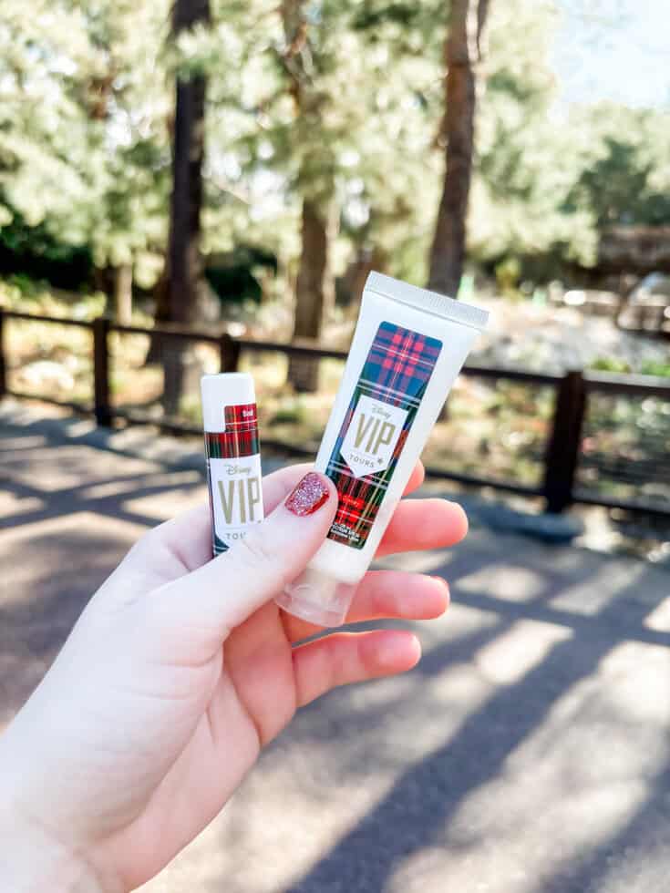 Disneyland VIP Tour: What's It Like? - The Happiest Blog on Earth