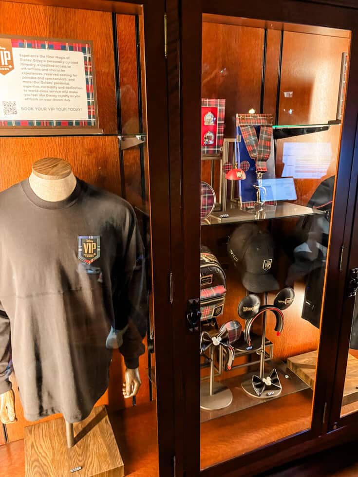 Disneyland VIP Tour: What's It Like? - The Happiest Blog on Earth